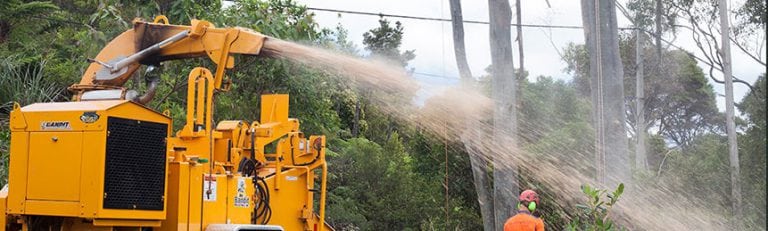 Tree Chipping Services Melbourne | PC Tree Services